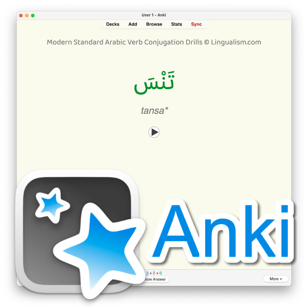 Modern Standard Arabic Verb Conjugation Drills: Anki Flashcards (Set 4 ...