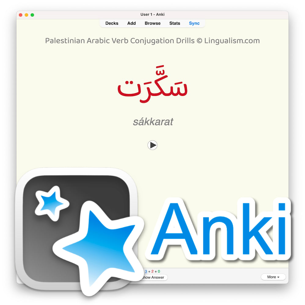 Palestinian Arabic Verb Conjugation Drills: Anki Flashcards (Set 3 ...