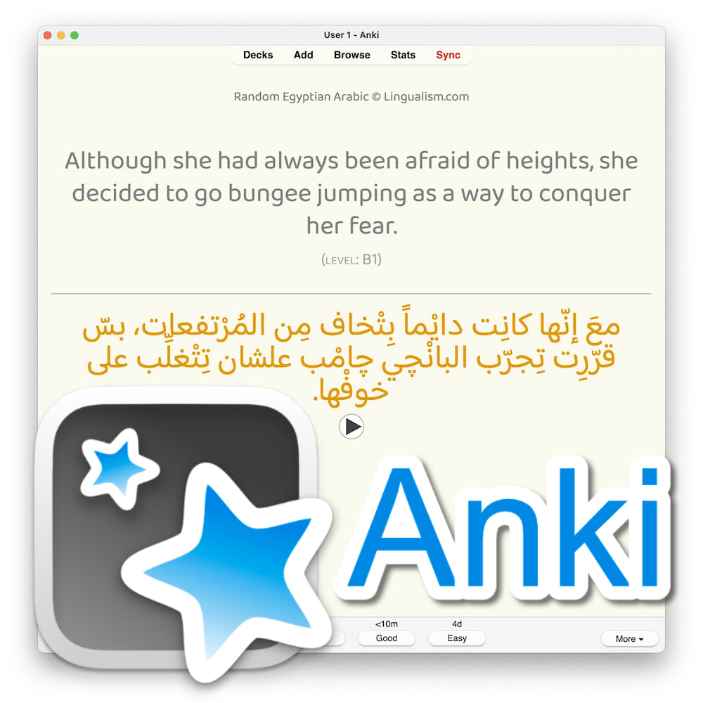 Random Egyptian Arabic B1: Anki Flashcards - Lingualism